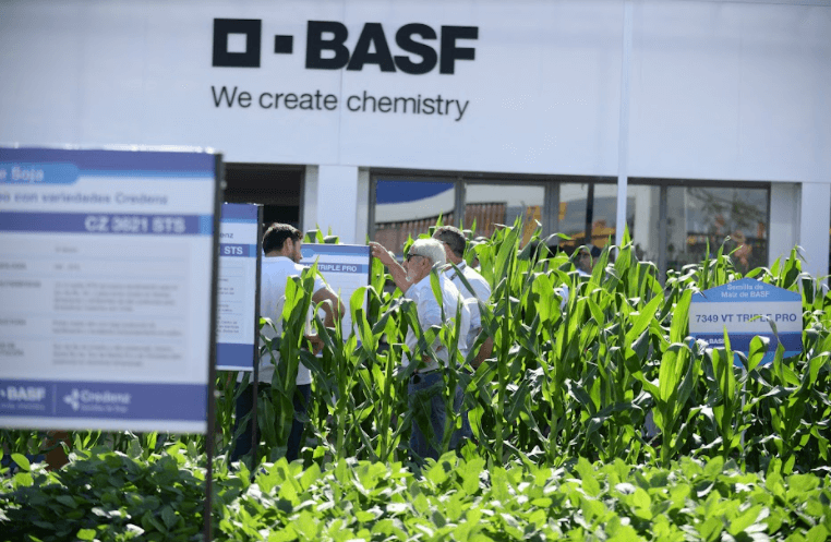 La propuesta de BASF: conectar protección de cultivos, semillas y ...